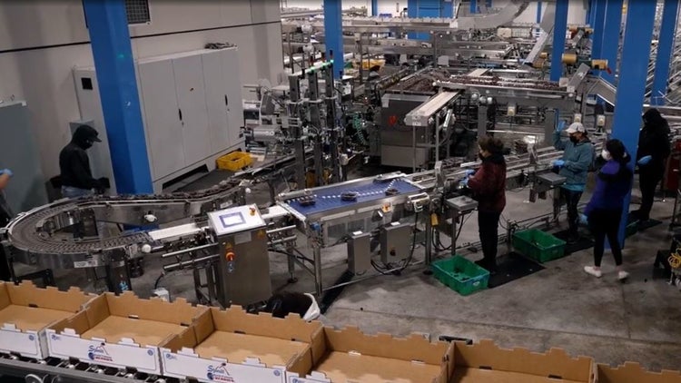 Case Study: Stemilt Growers | METTLER TOLEDO | Intralox